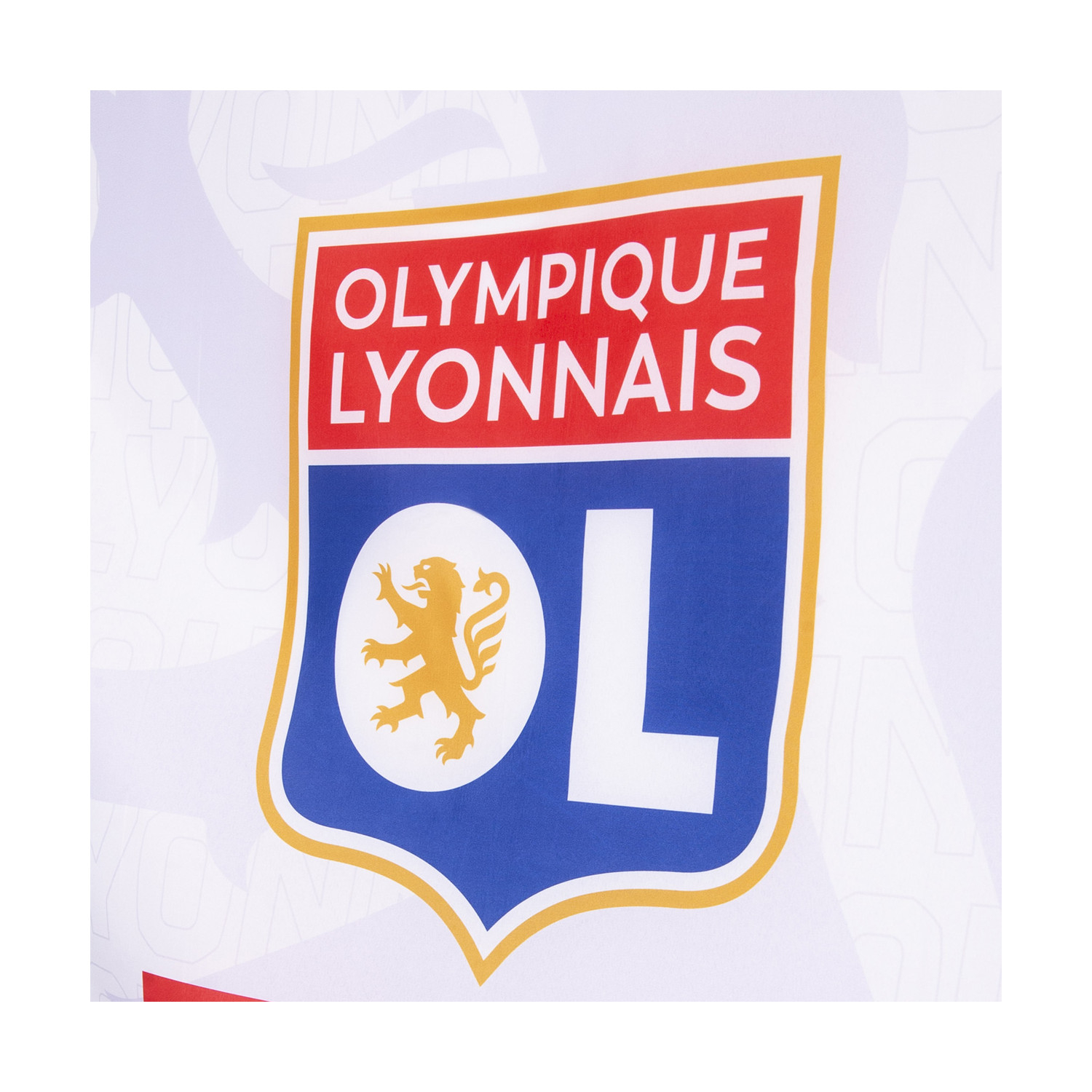 Drapeau Olympique Lyonnais