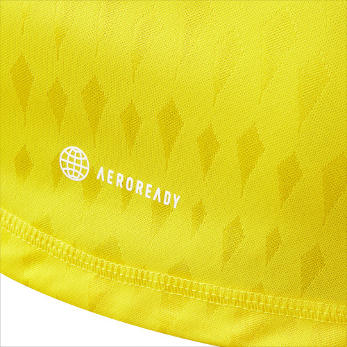 23-24 Men's Goalkeeper Black Jersey - Olympique Lyonnais