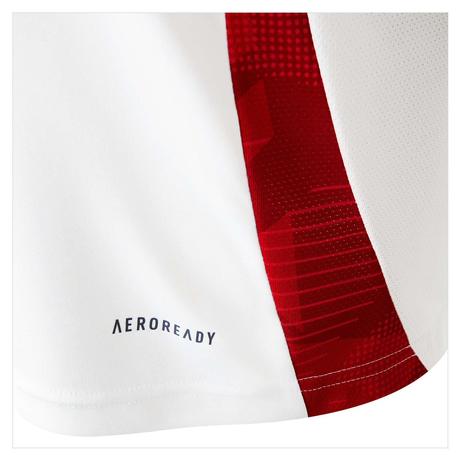 Maillot d'entraînement Joueur Homme 24-25 - Olympique Lyonnais